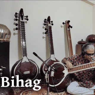 Chandraveena | Raga Bihag with Two Madhyams