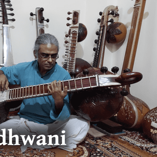 Chandraveena | Raga Hamsadhwani - Raga of the North and South